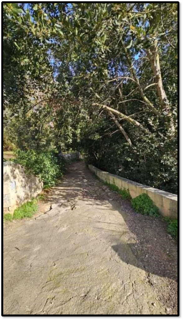 Buskett Medium Walking Path - The Department
