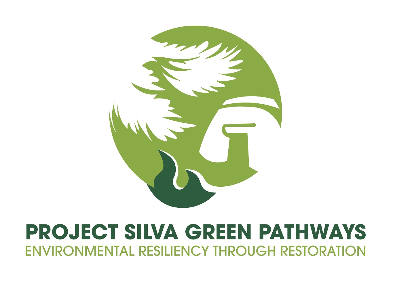 Project Silva - The Department